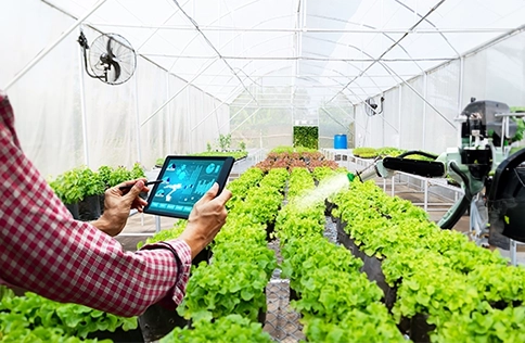 5G FWA (Fixed Wireless Access) Solutions for Home | Jio