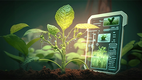 5G Solutions for Agriculture | Jio